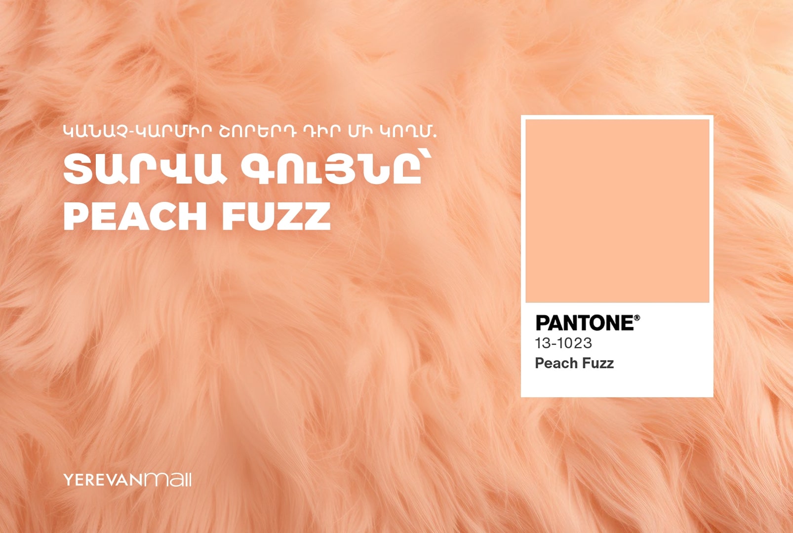 Feel the Peach Fuzz vibes: How to combine the latest fashion color ...